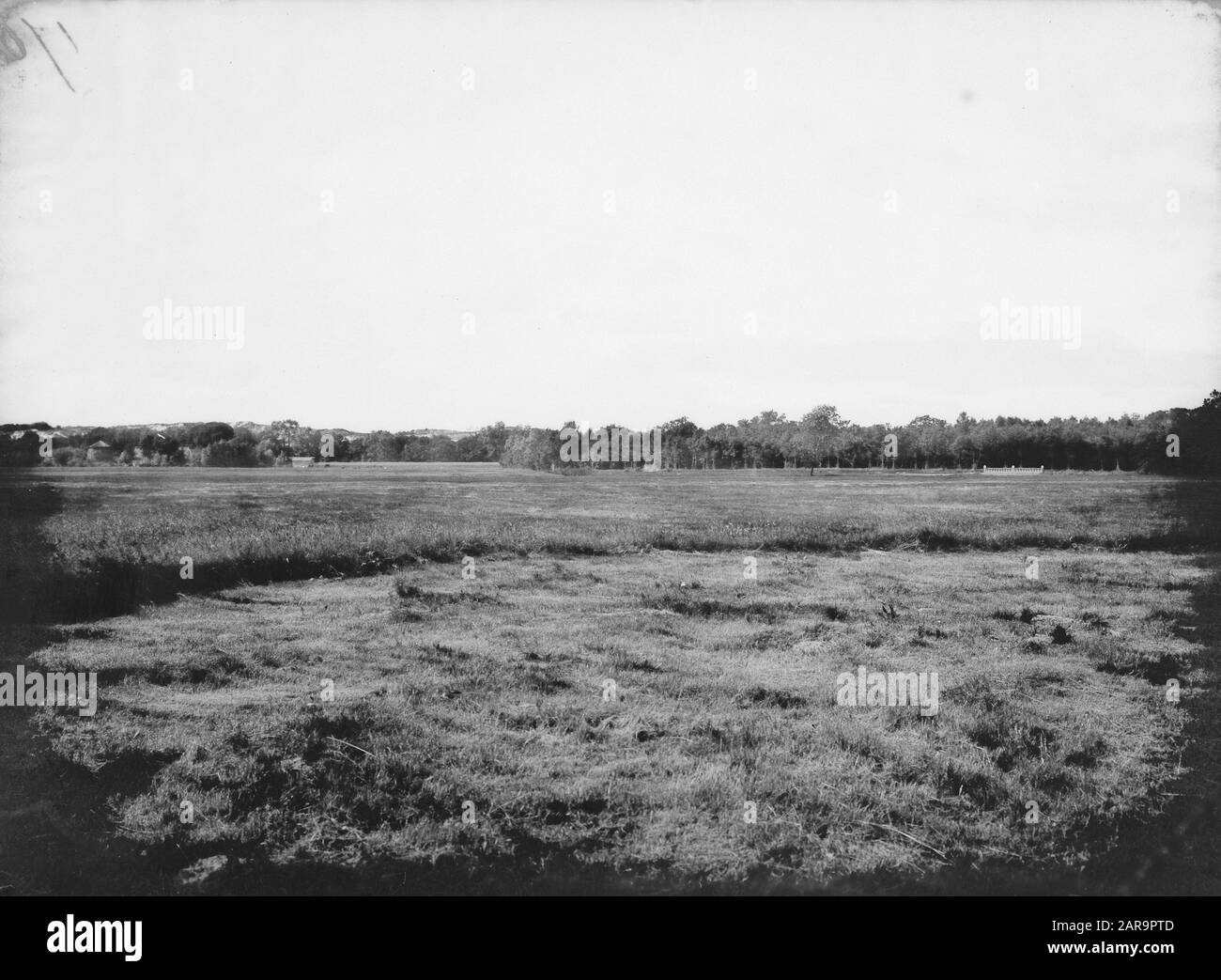 Habitat meadows Black and White Stock Photos & Images - Alamy