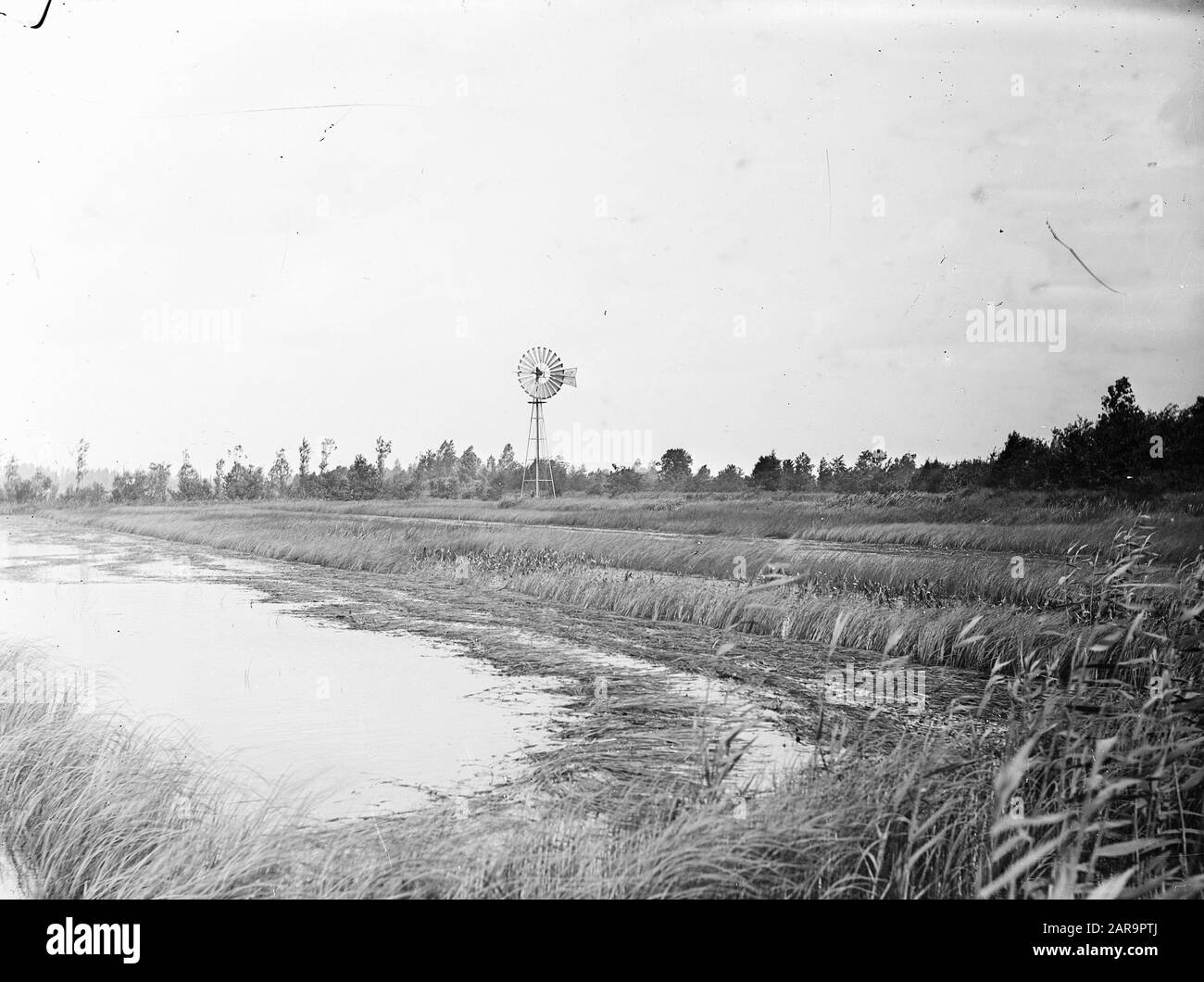 fisheries, growth ponds Date: undated Keywords: growth ponds, fishing ...