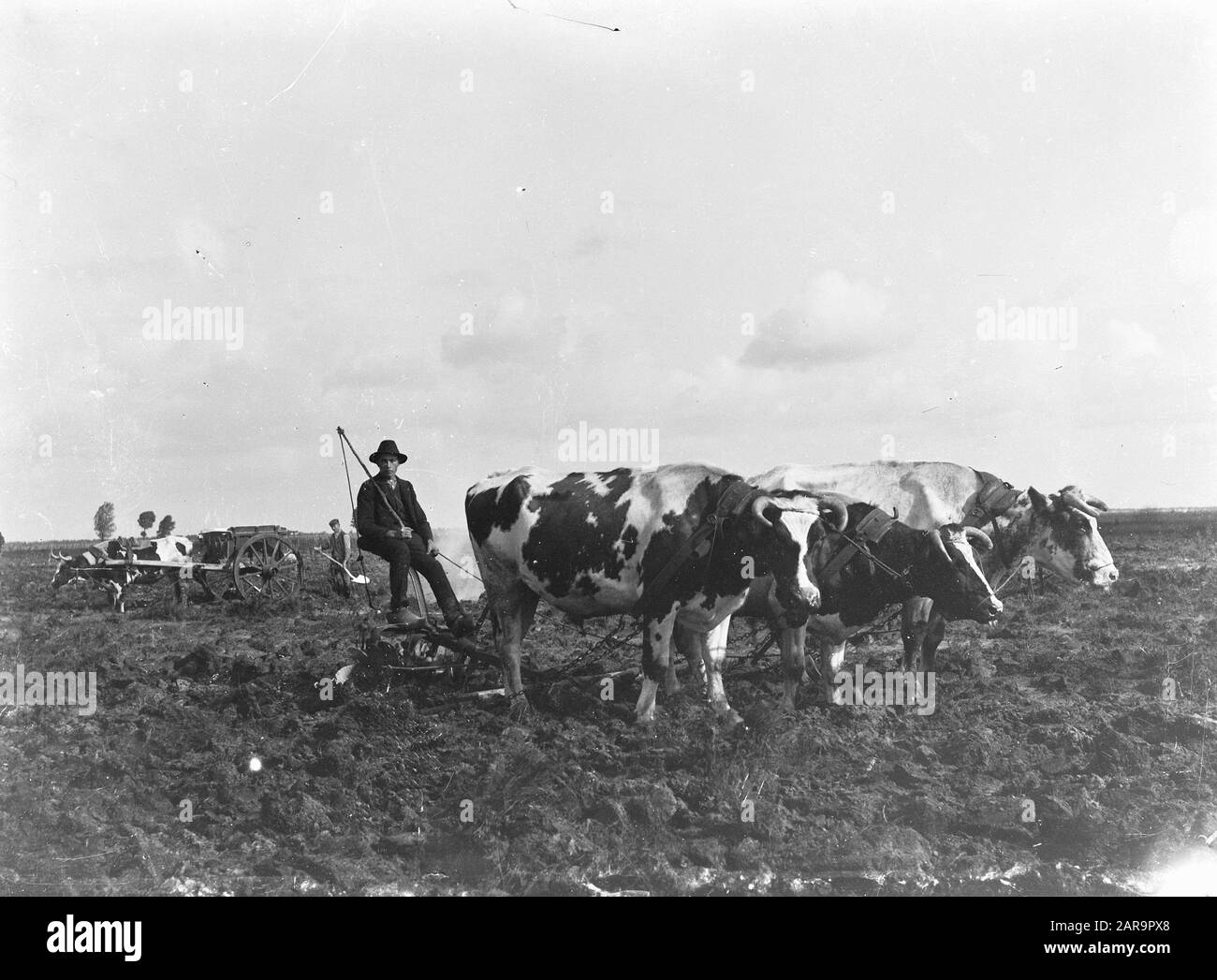 Agricultural Tools Harrow High Resolution Stock Photography and Images ...
