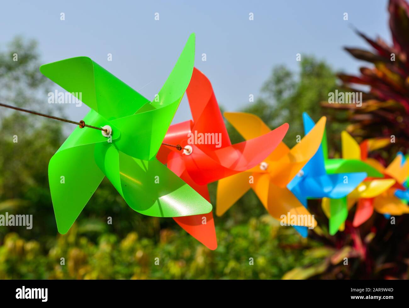 Colorful pinwheel for decoration at garden in Mekong Delta, Vietnam ...