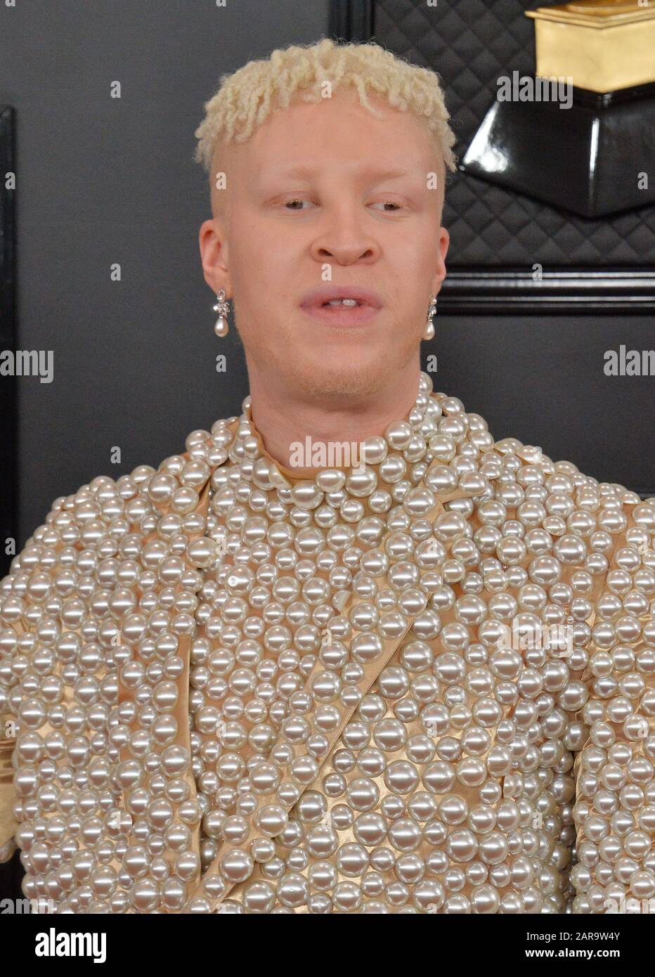 Los Angeles, CA, USA. 26th Jan 2020. Shaun Ross arrives for the 62nd ...