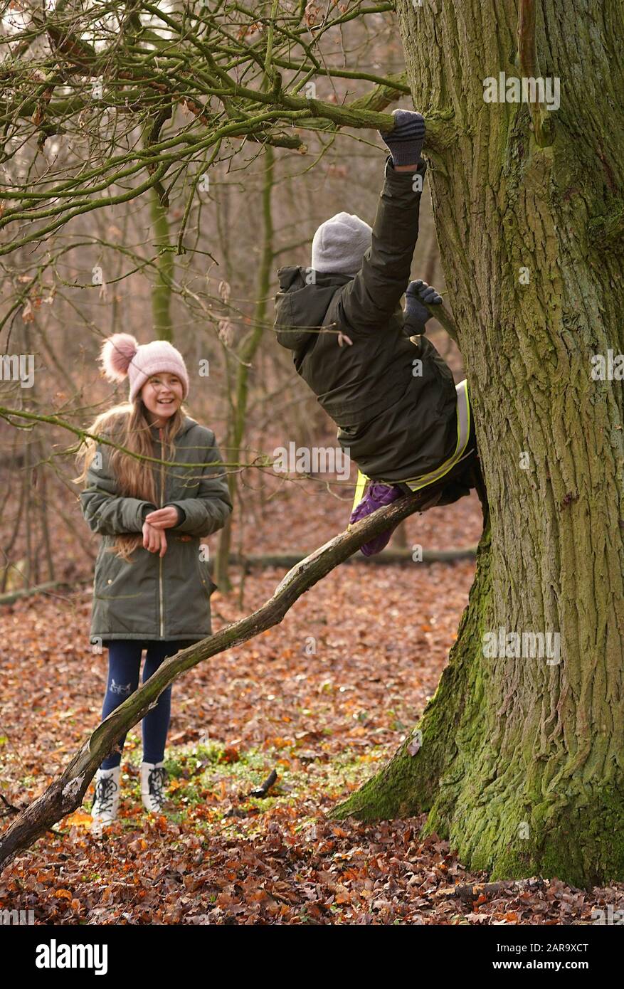 Children tree climbing hi-res stock photography and images - Alamy