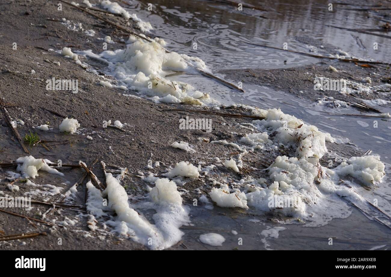 The problem of environmental protection. Polluted lake - foam on the ...