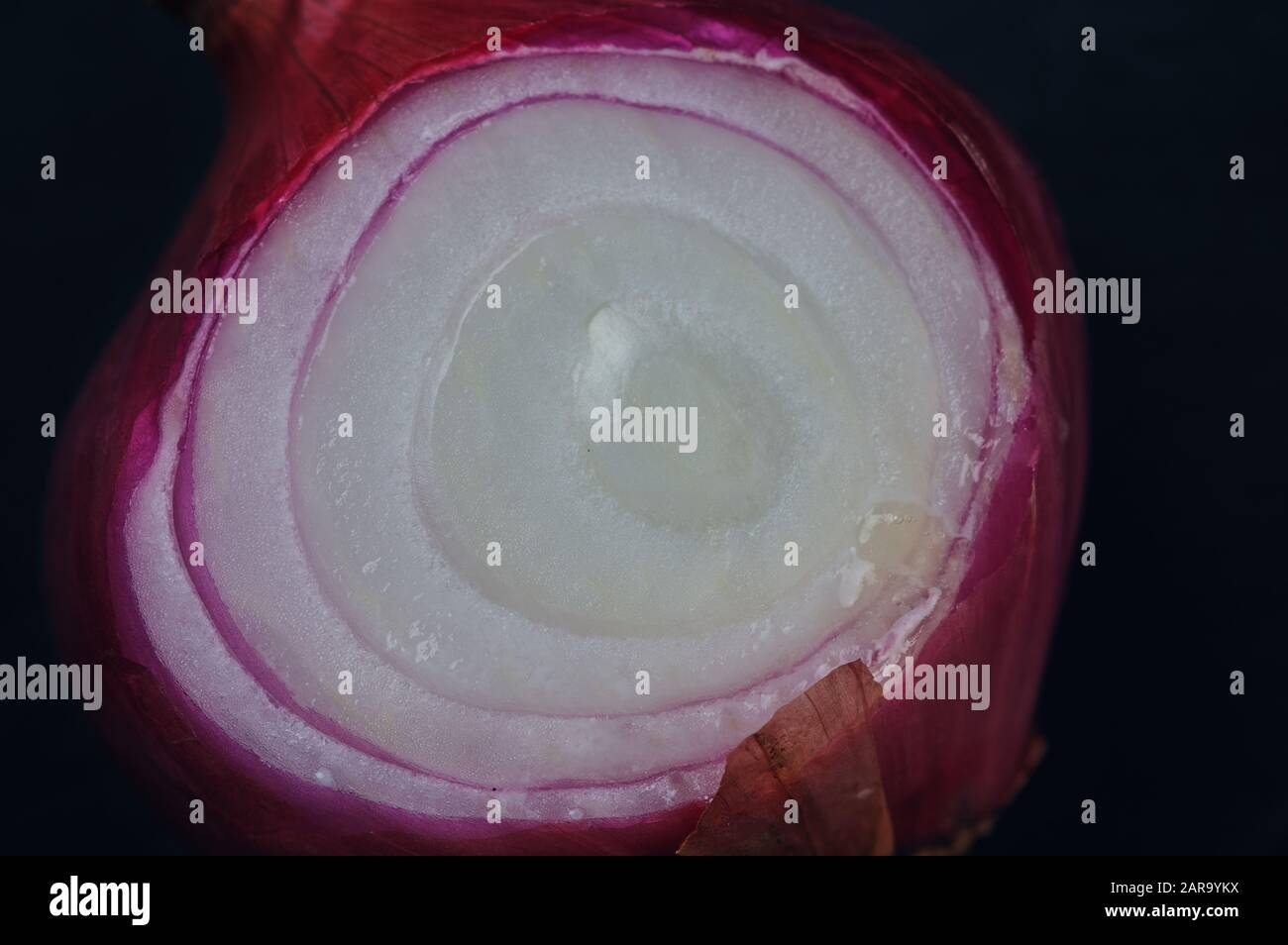 Close-up red onion with cut off to show inside Stock Photo - Alamy