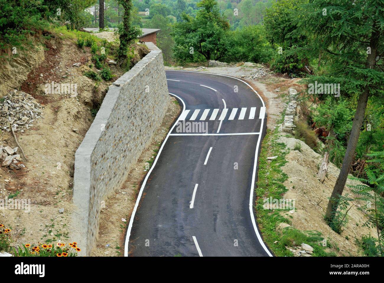 Road with zebra crossing, Nainital, Kumaon, Uttarakhand, India, Asia ...