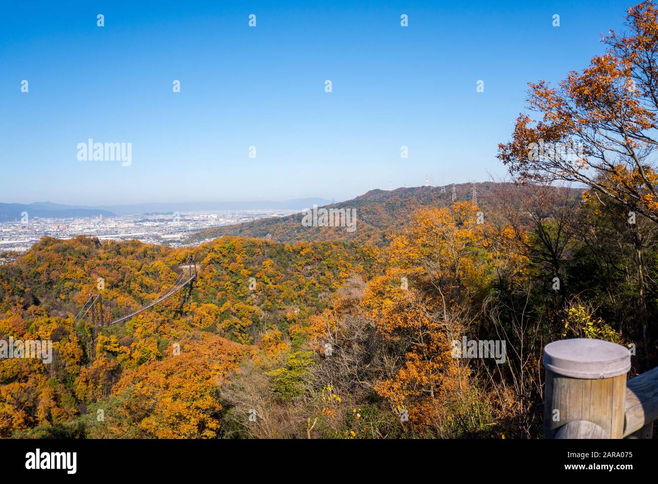Suspension Bridge in Deciduous Forest during Autumn Foliage, Hoshi no ...