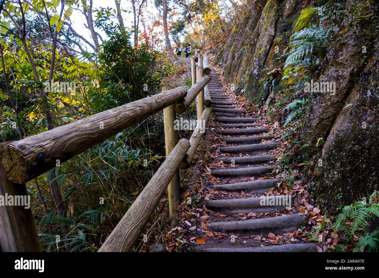 Stairway, trail, footpath, country road in Hoshi no Buranko, Osaka ...