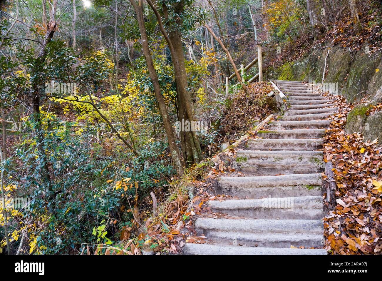 Stairway, trail, footpath, country road in Hoshi no Buranko, Osaka ...