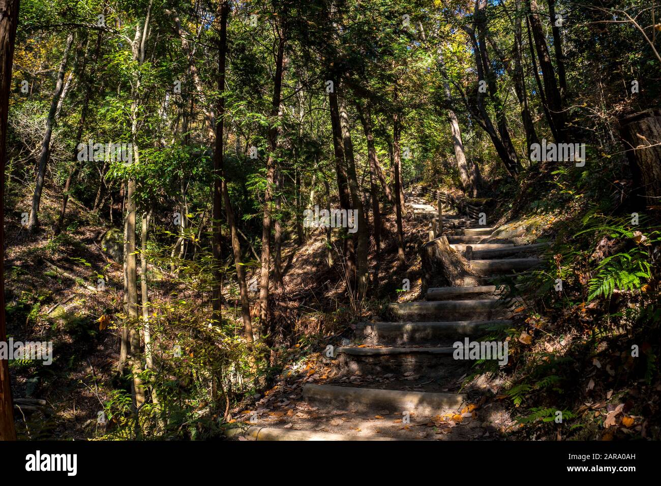 Stairway, trail, footpath, country road in Hoshi no Buranko, Osaka ...