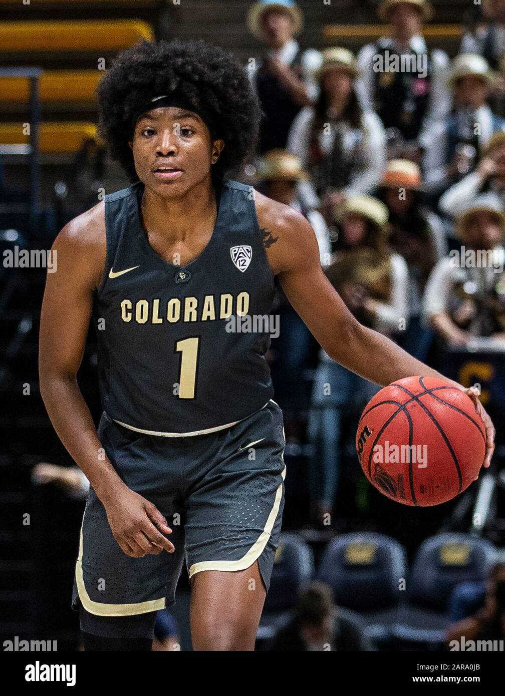 Jaylyn hi-res stock photography and images - Alamy