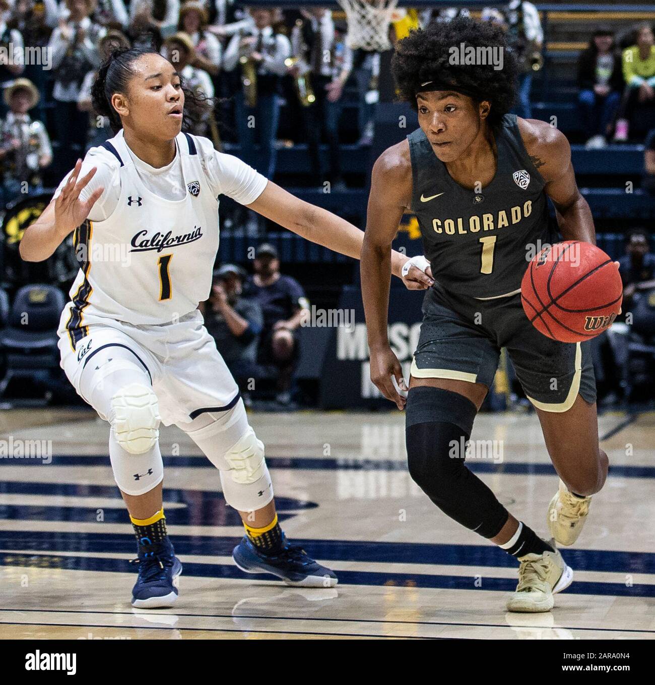 Jaylyn hi-res stock photography and images - Alamy