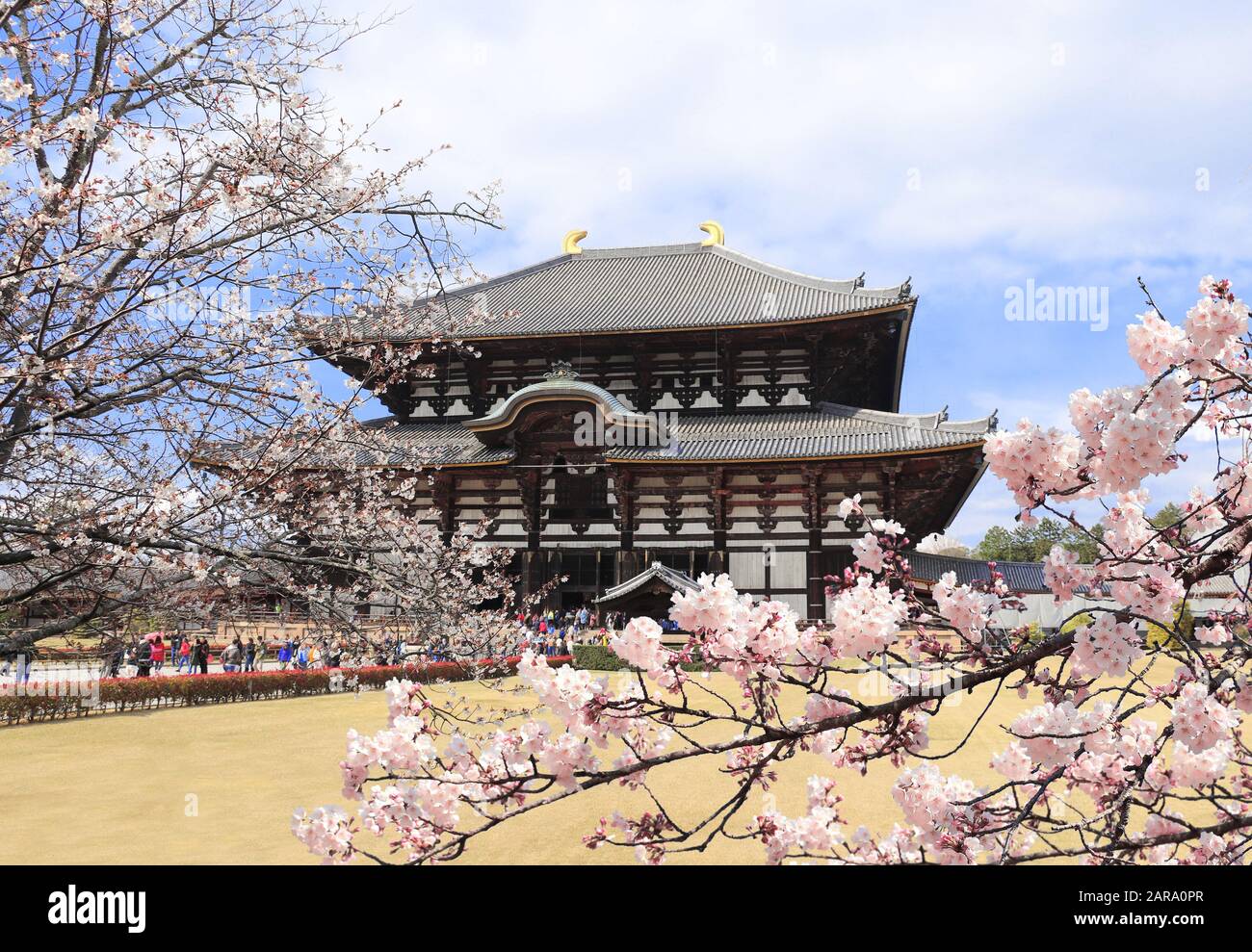 Todaiji Temple (Great Eastern Temple), one of the powerful Seven Great ...
