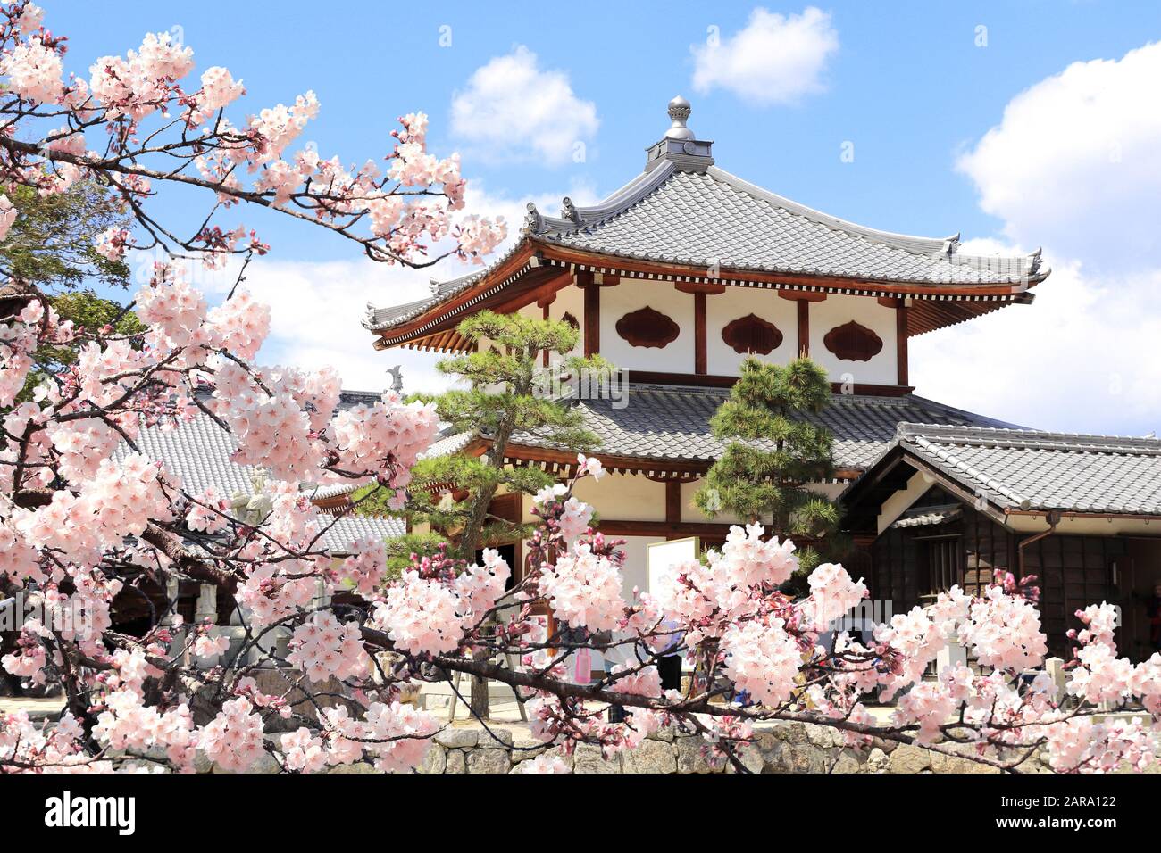 Pavilion in Itsukushima Shrine and sakura blossom branches. Sakura ...