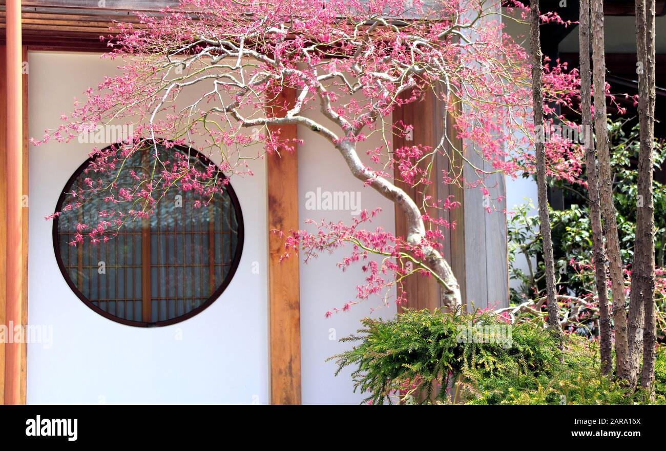 Japanese round window hi-res stock photography and images - Alamy