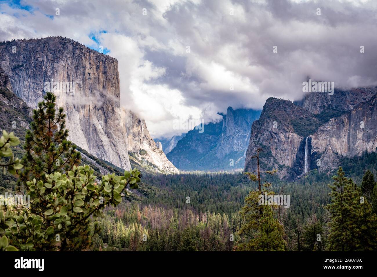 Classic view of Yosemite Valley featuring famous El Capitan, Cathedral ...