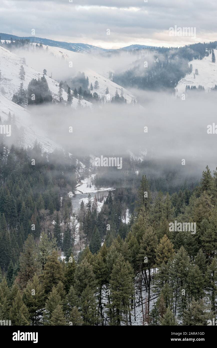 Fog in the canyon of the Minam River, Wallowa Mountains, Oregon Stock ...
