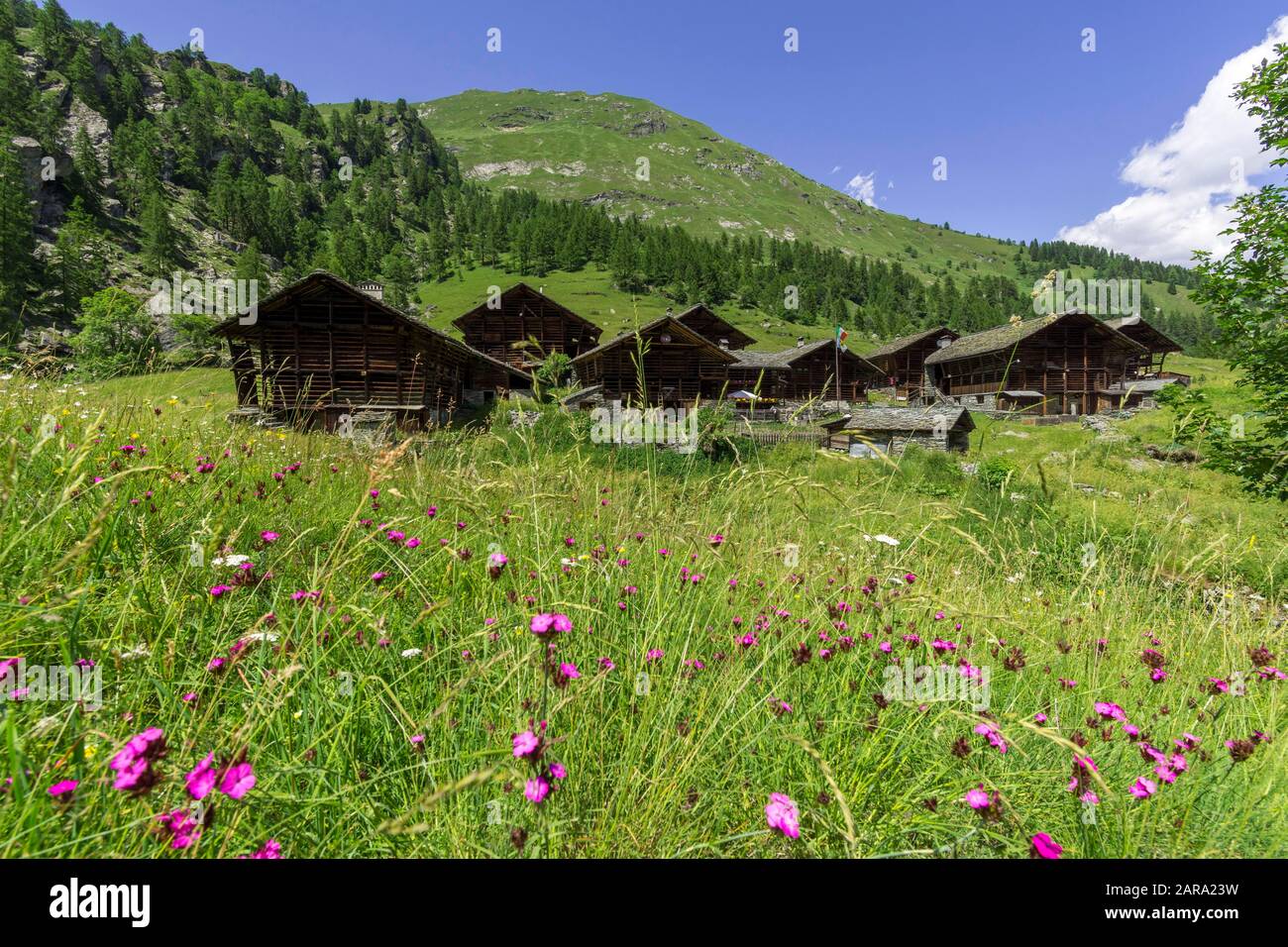 Typical Walser farmhouses in the village of Otro, Val de Otro, Alagna ...