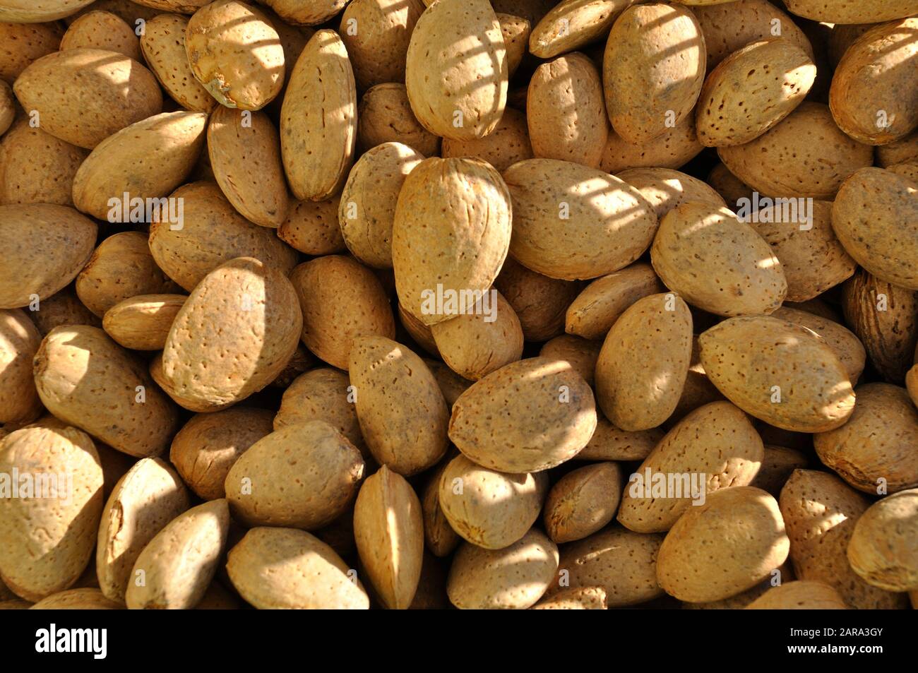 Dried almonds in a crate Stock Photo - Alamy