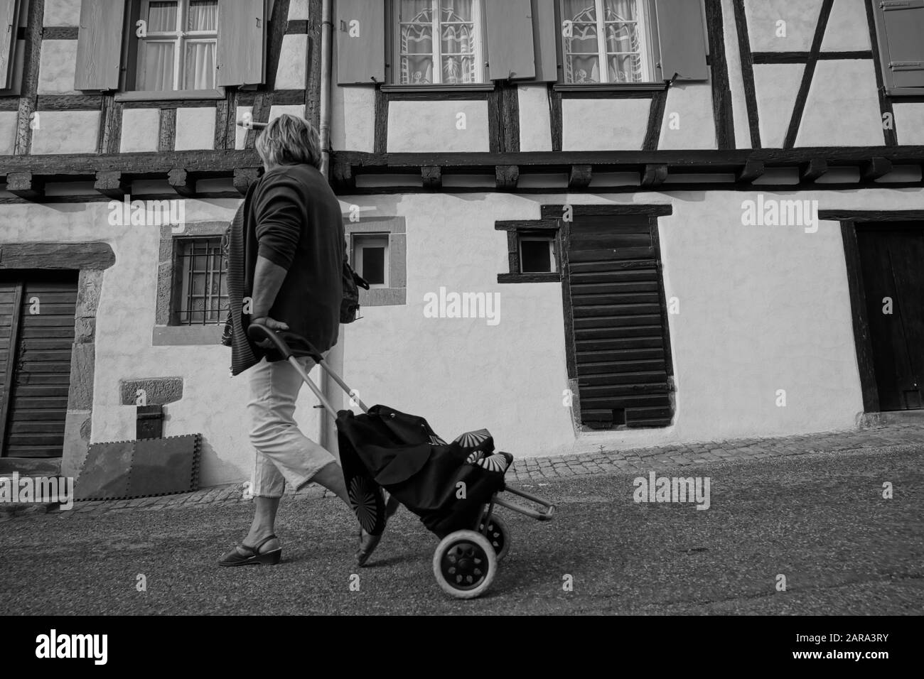 Tourist pulling trolley, Old house, Riquewihr, Alsace, France, Europe ...
