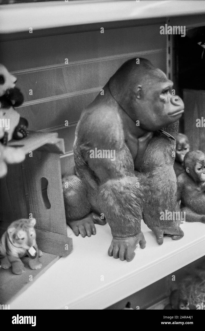 Market gardening Black and White Stock Photos & Images - Alamy