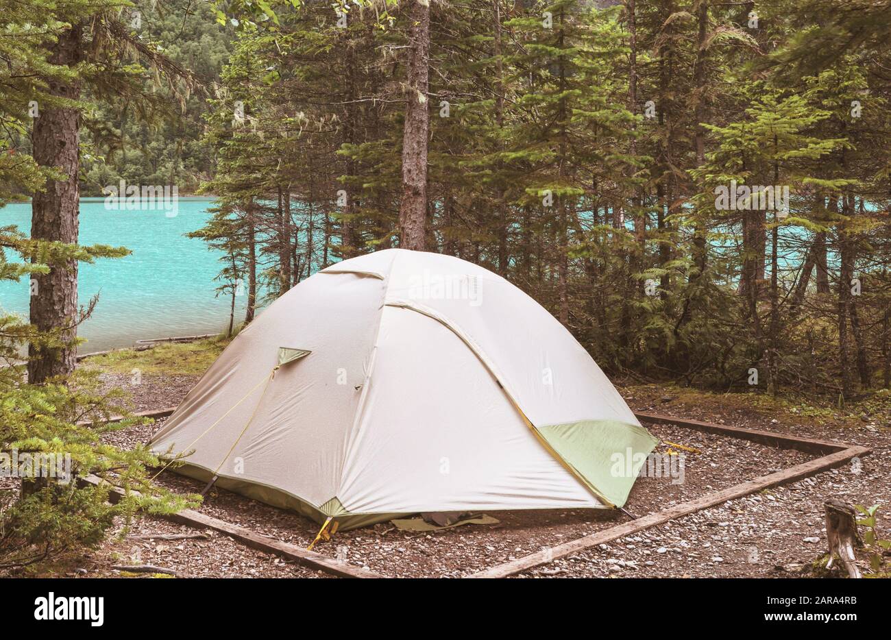 Modern tourist tent hanging between trees in green forest Stock Photo ...