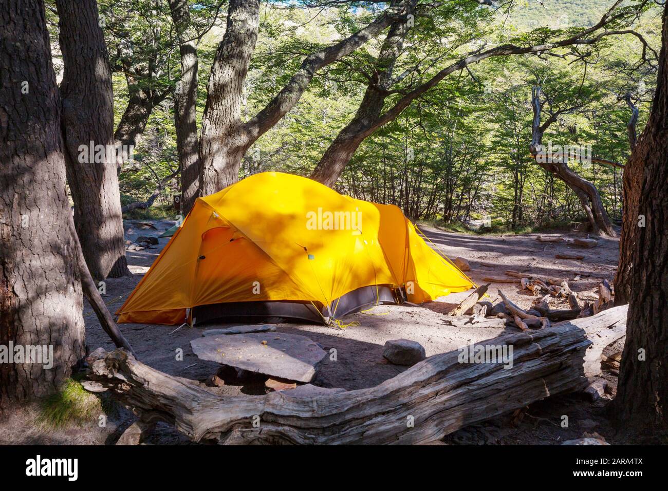 Modern tourist tent hanging between trees in green forest Stock Photo ...