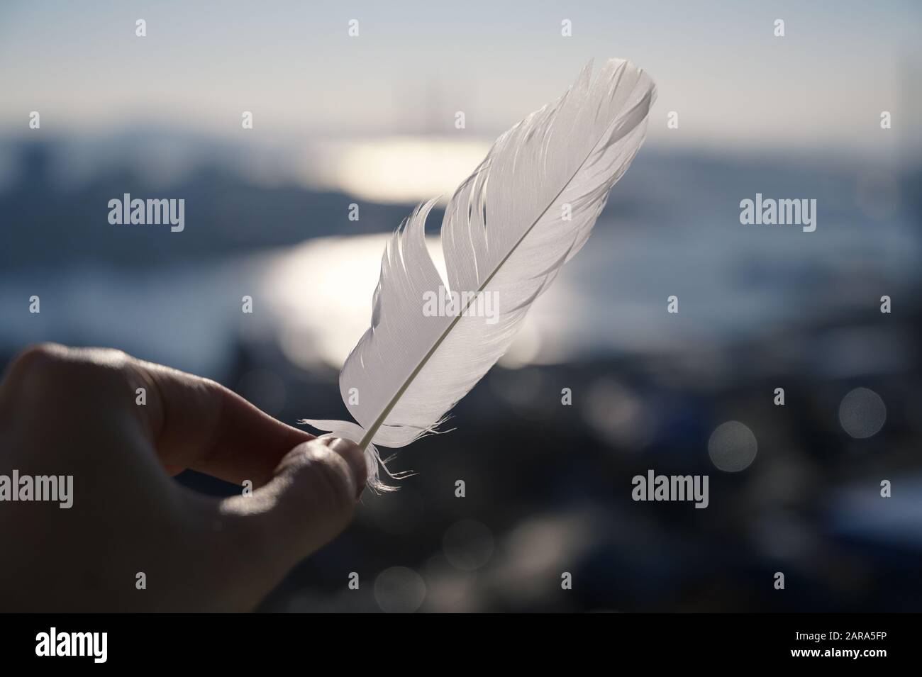 Hand holding feather pen hi-res stock photography and images - Alamy