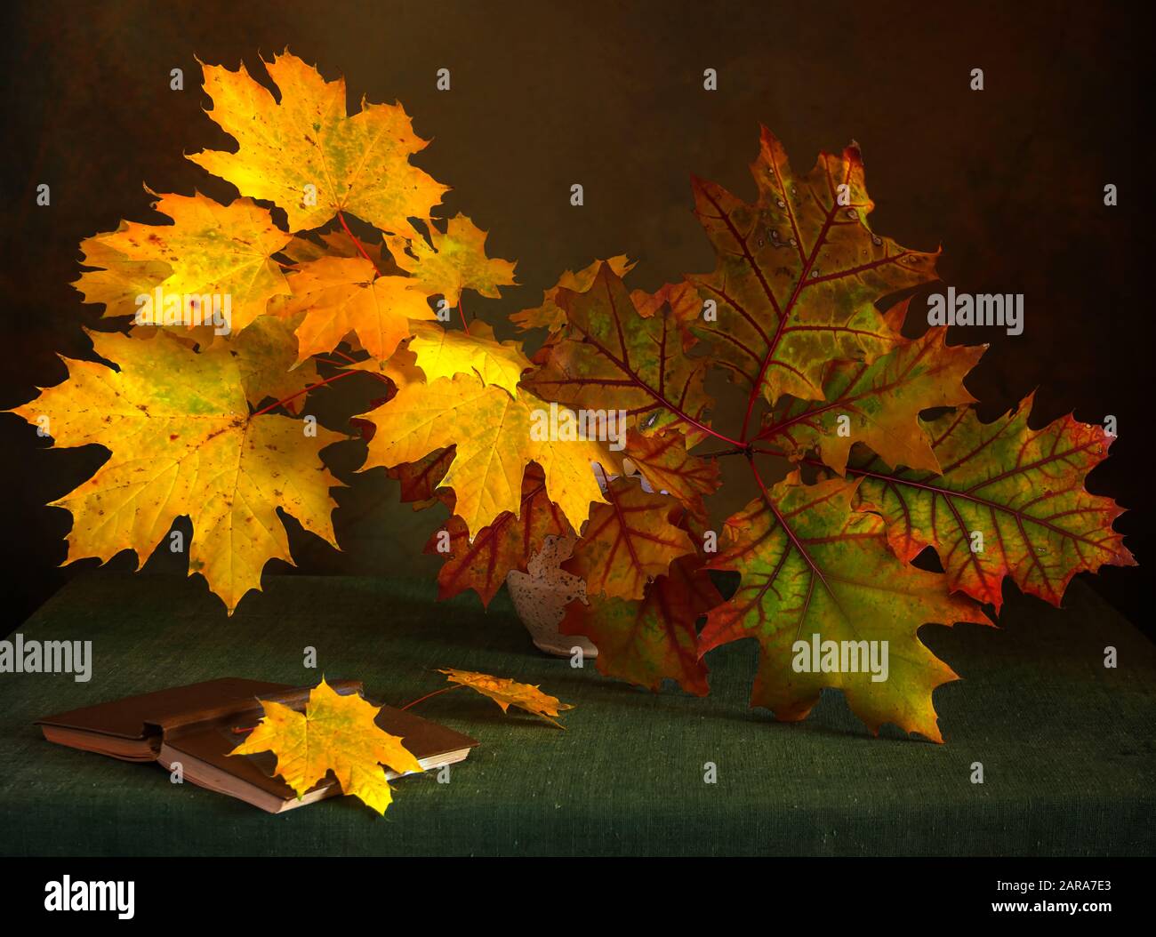 Still life with maple and oak leaves. Autumn bouquet of beautiful ...