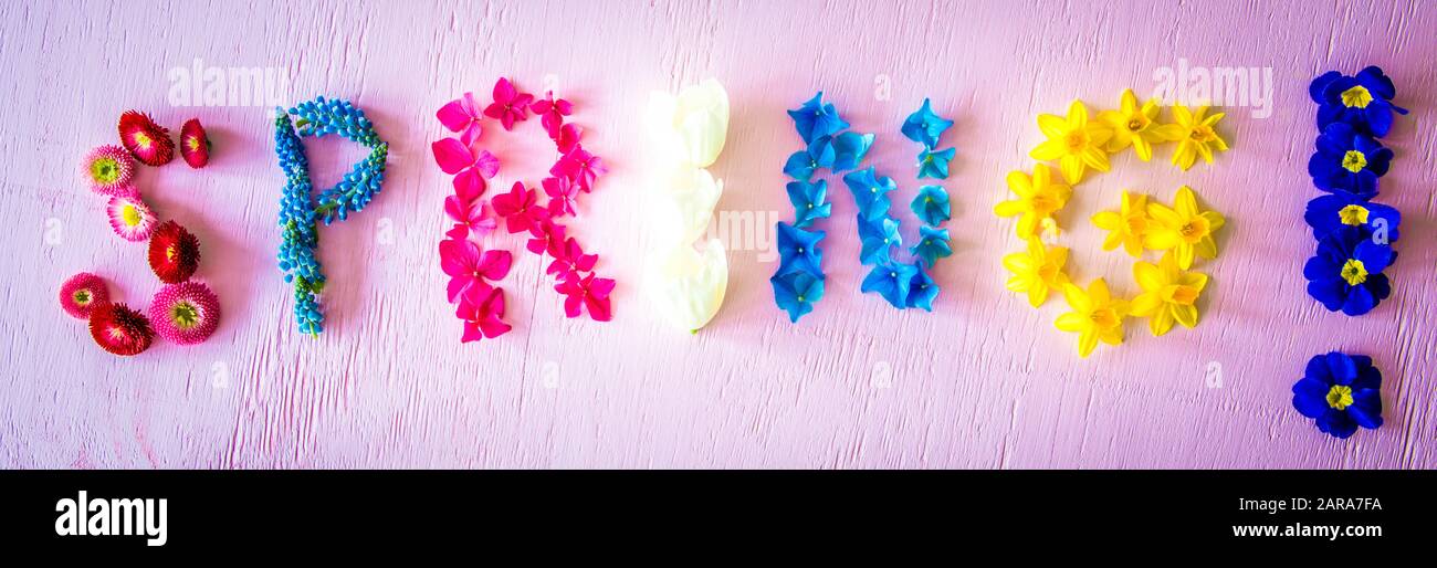 Spring Flower Blossoms Building The Word Spring Stock Photo - Alamy