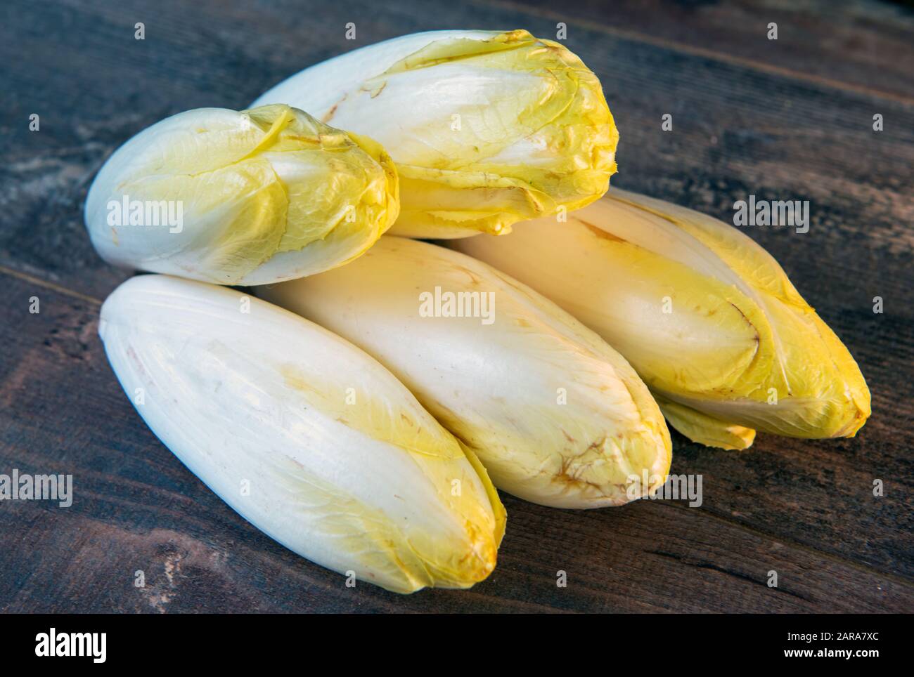 Endive salad harvest hi-res stock photography and images - Alamy