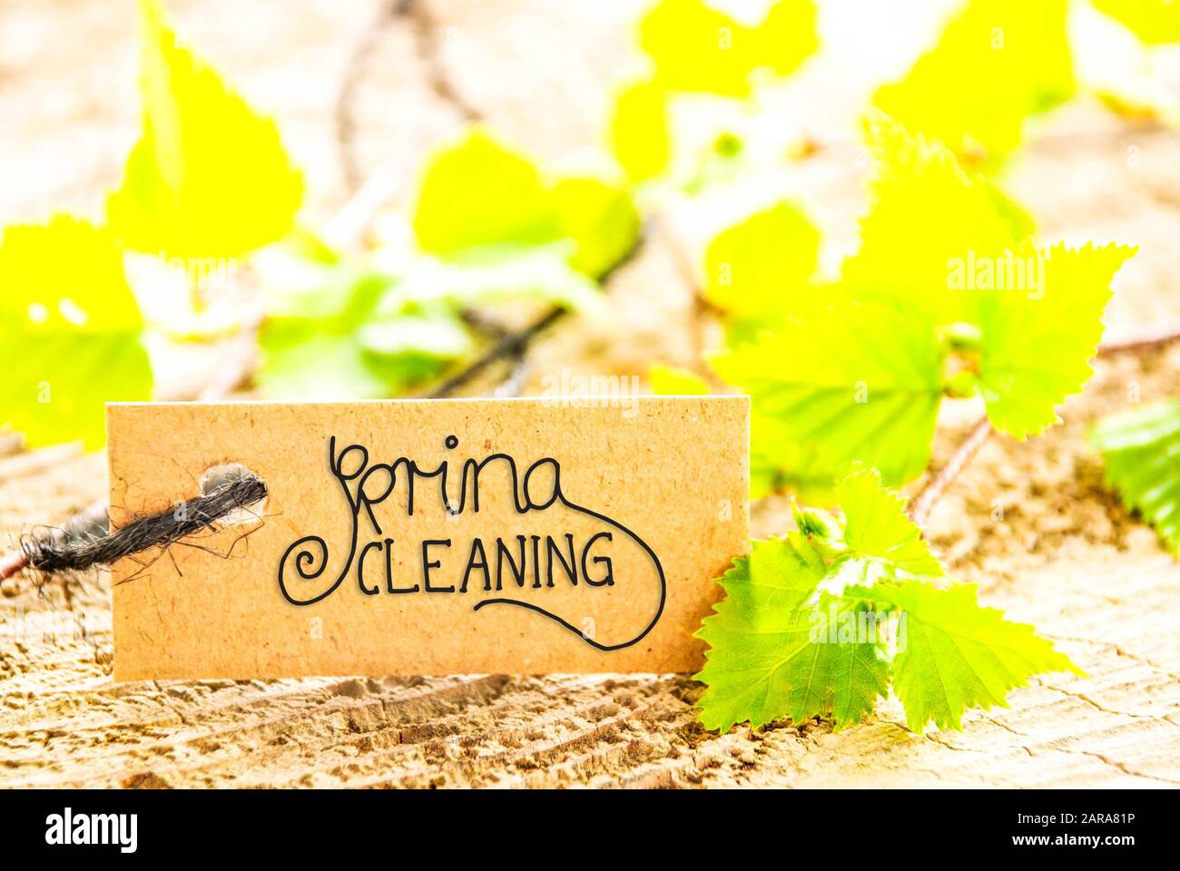 Label With Calligraphy Spring Cleaning, Green Tree Branch Stock Photo ...