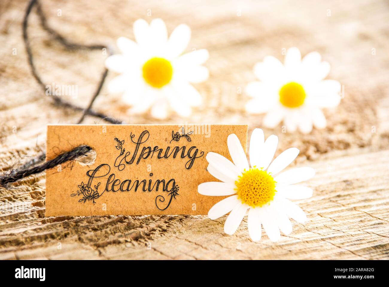 Label With Calligraphy Spring Cleaning, Daisy Blossom Stock Photo - Alamy