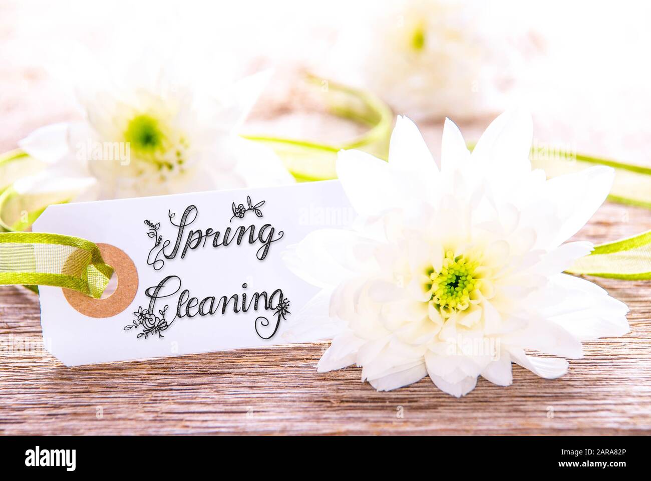Label With Calligraphy Spring Cleaning, White Flower Blossom Stock ...