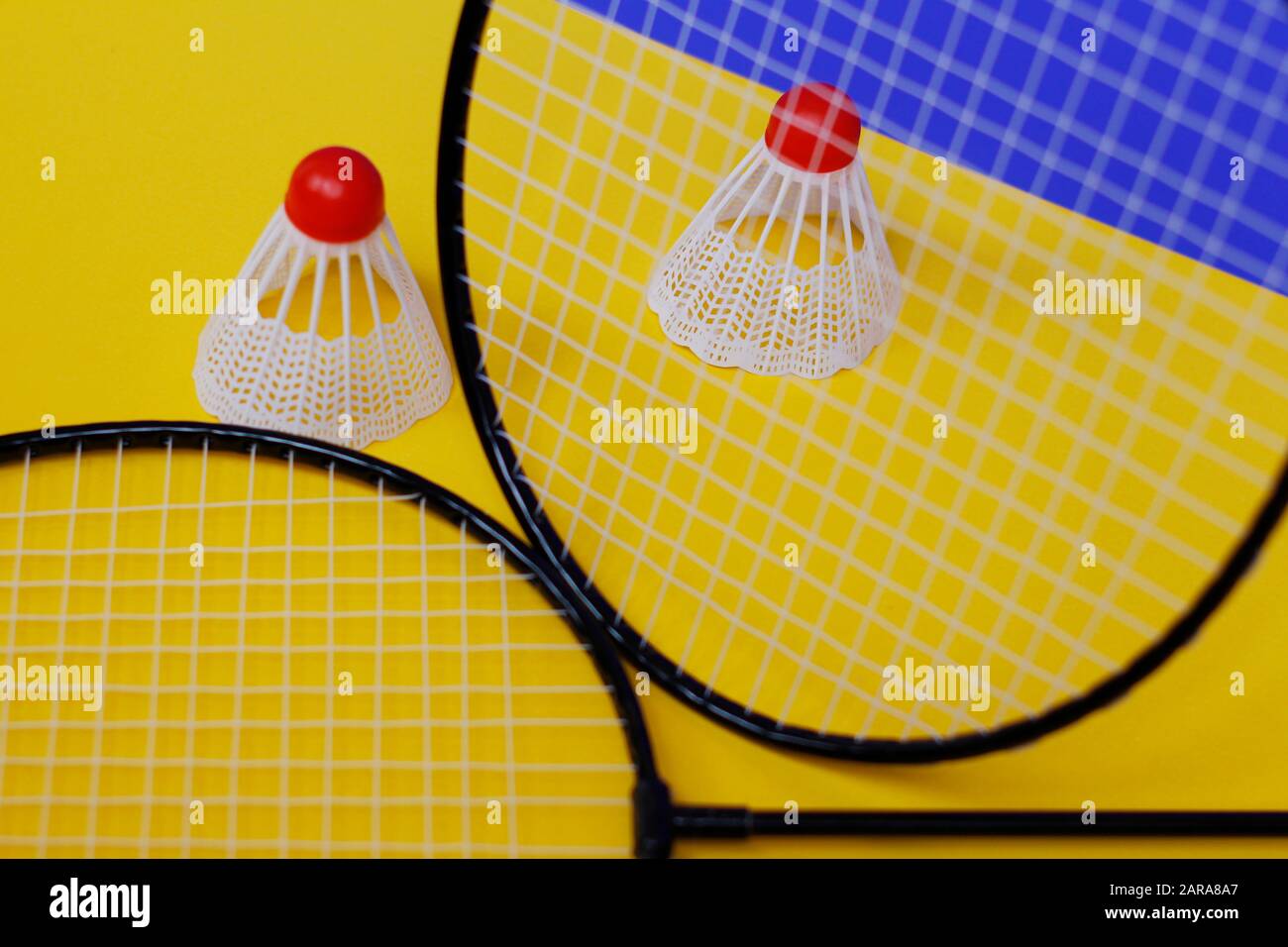 Badminton. Two shuttlecocks and two badminton racket. The colored ...