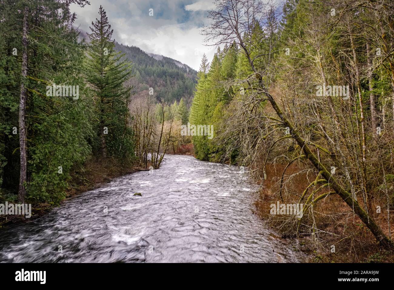 Oregon wilderness and state parks winter scene Stock Photo - Alamy