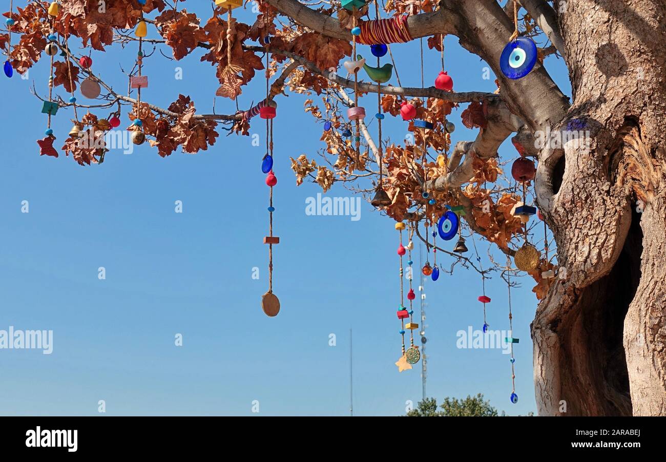Nazar (amulets) hanging on a tree, aneye-shaped amulet believed to ...