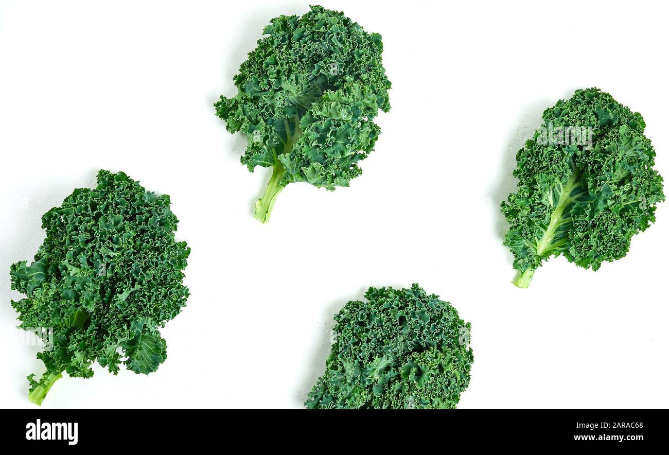 Single leaf of organic green kale on white background Stock Photo - Alamy