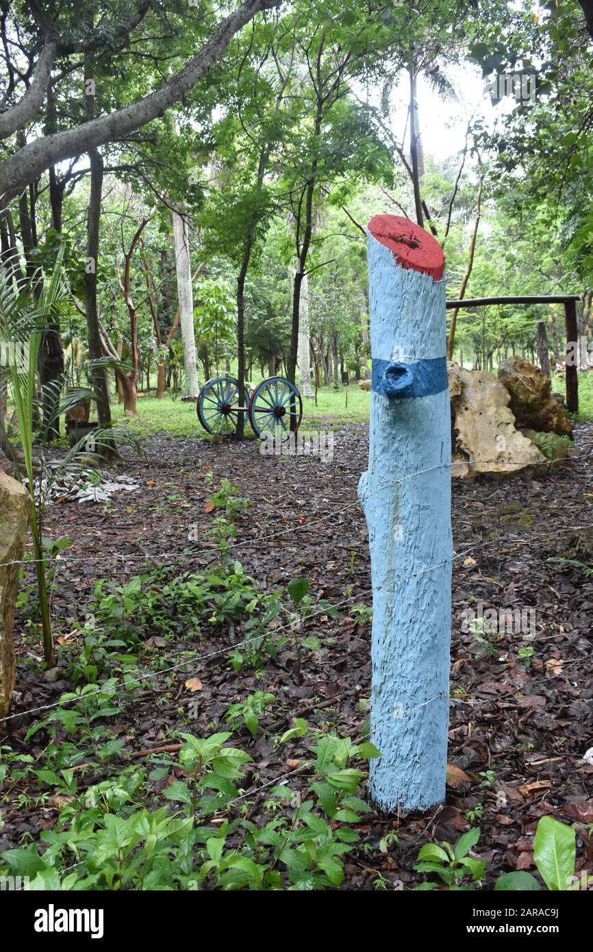 Blue painted log near the entrance of a rural Cuban public park Stock ...