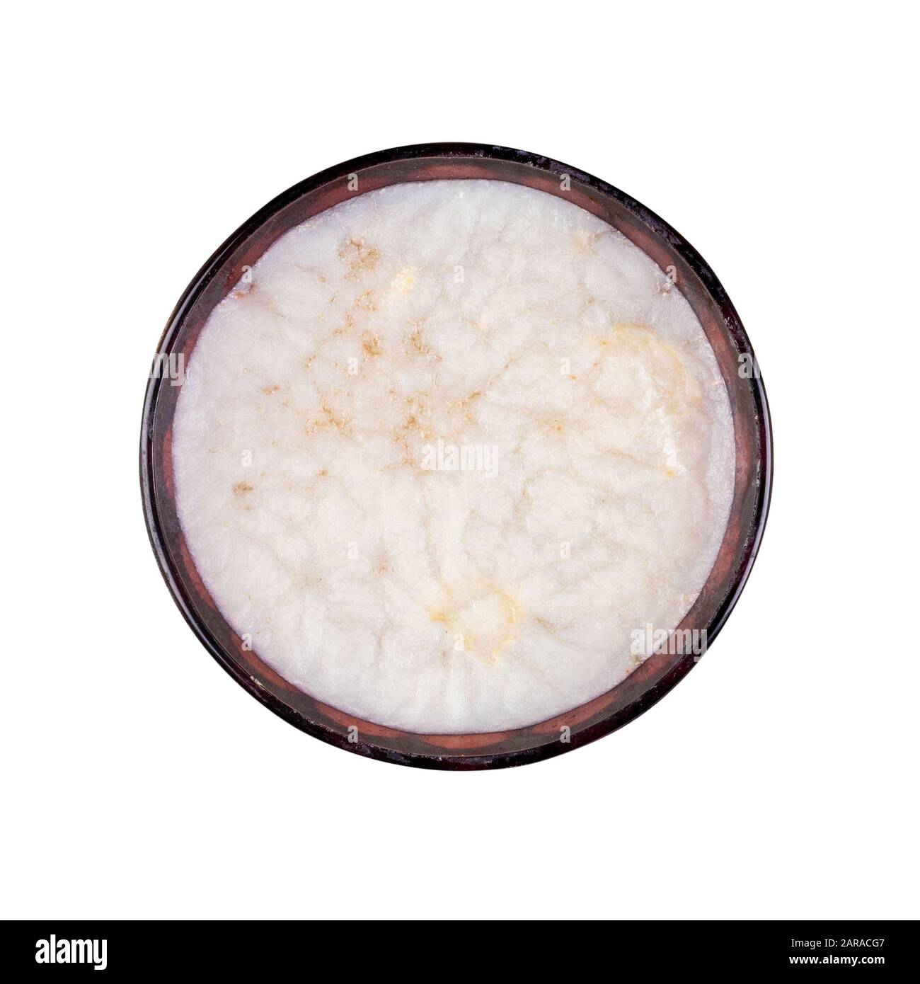 plate with jelly from aspic meat of poultry, beef and pork with a layer ...