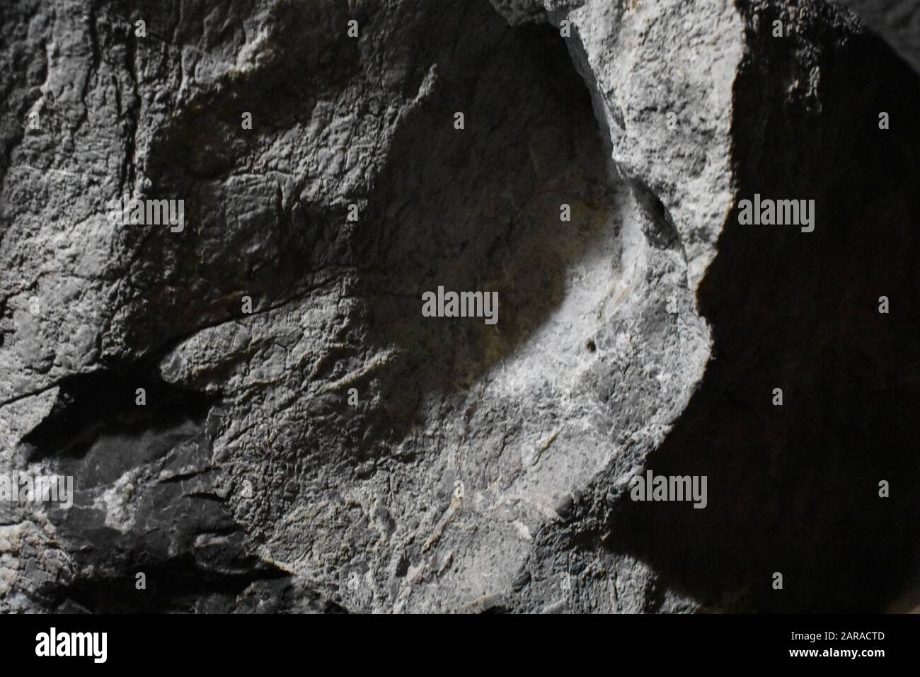 Palenque de los cimarrones hi-res stock photography and images - Alamy