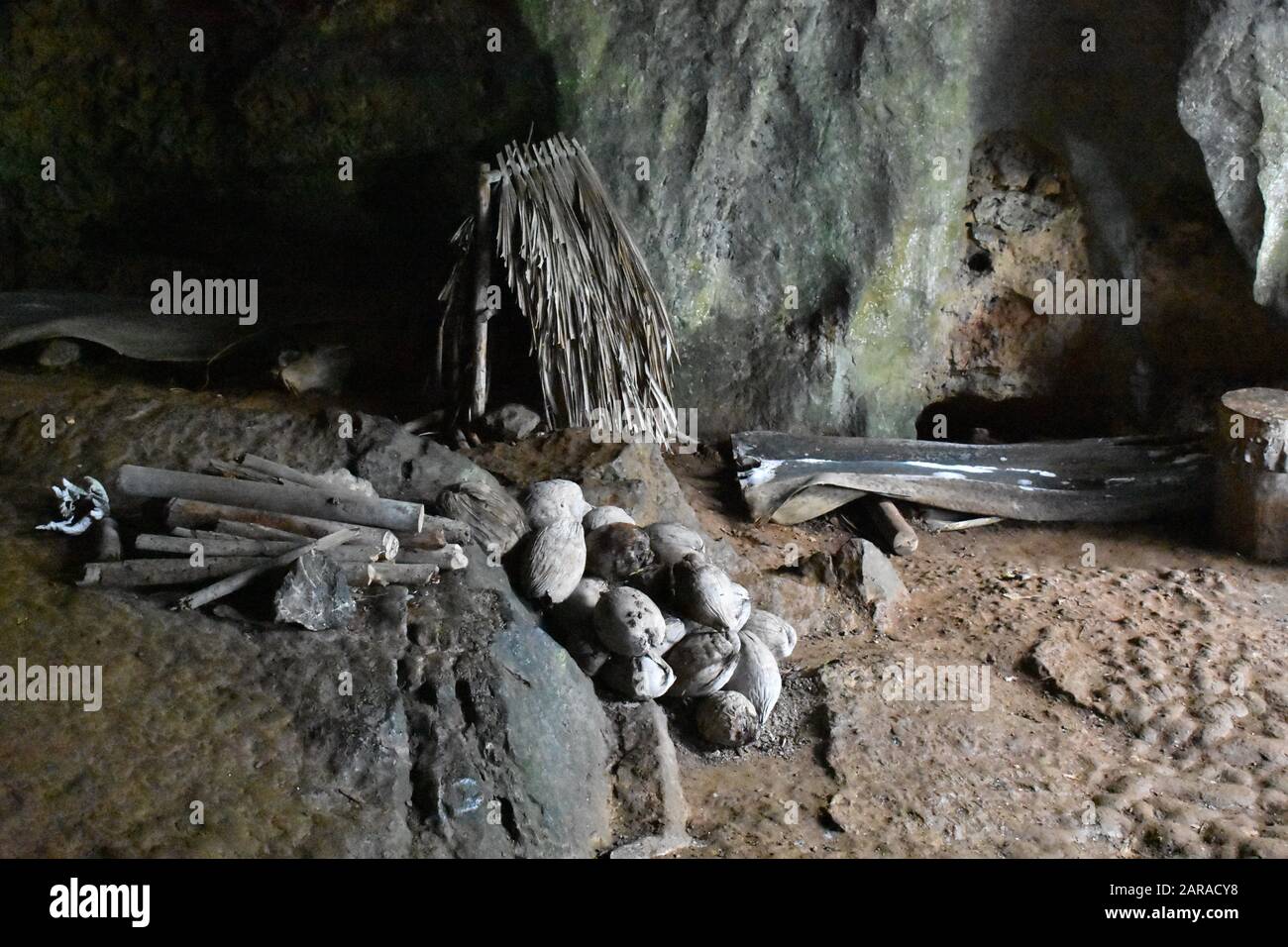 Tent logs and animal skull at Palenque de los Cimarrones cave in ...