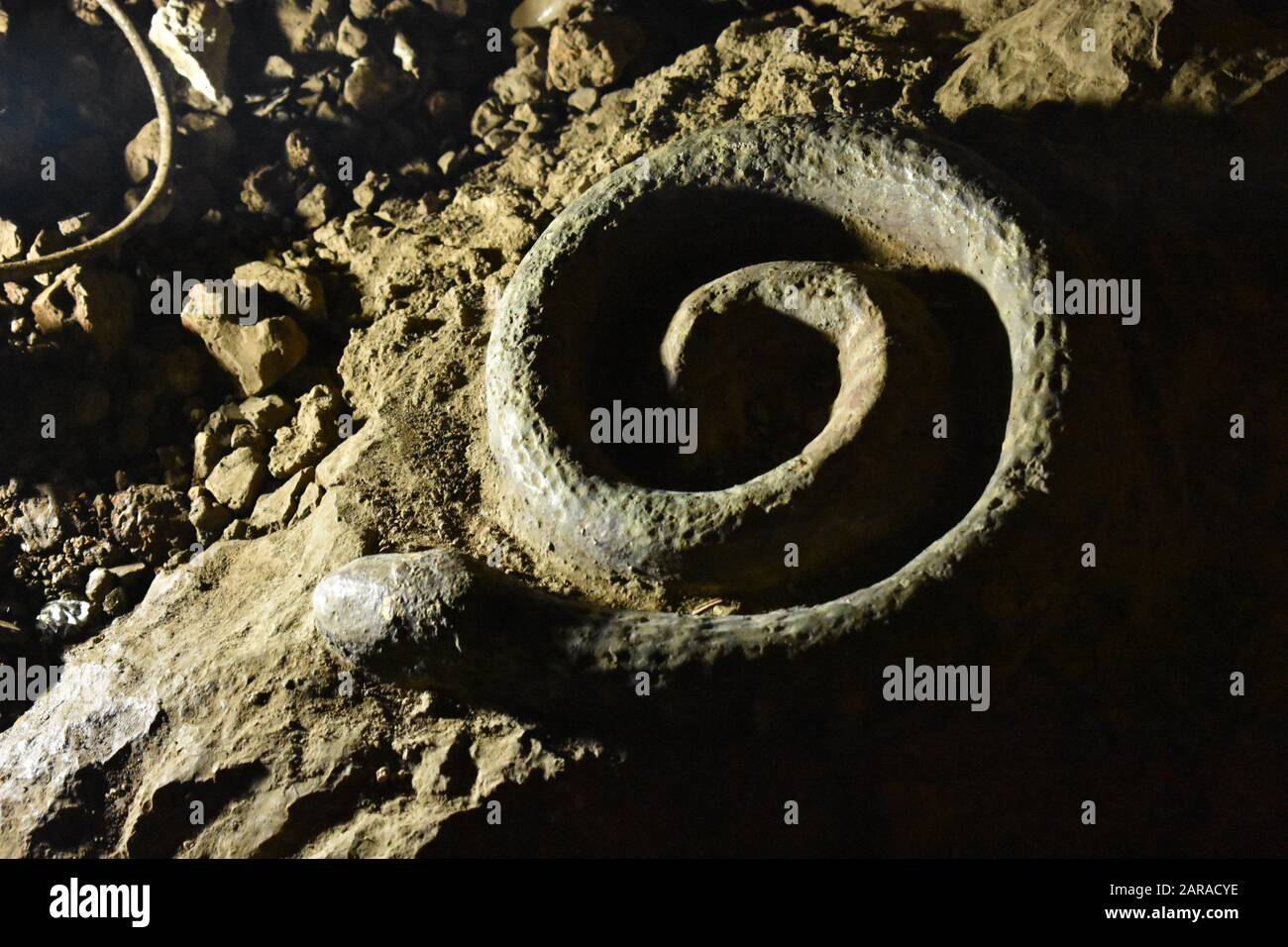 Cave snake cuba hi-res stock photography and images - Alamy