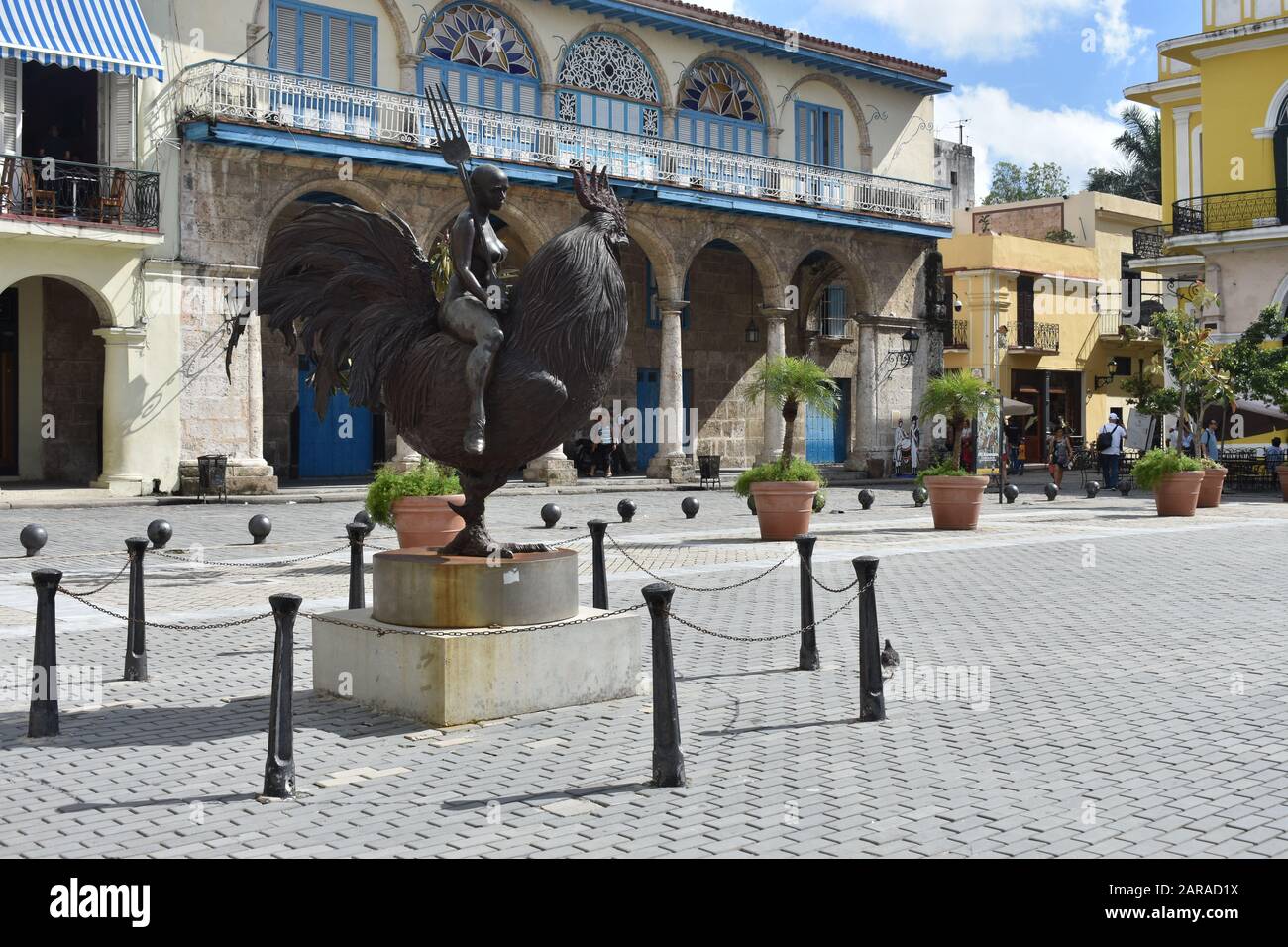 Cuban man rooster hi-res stock photography and images - Alamy