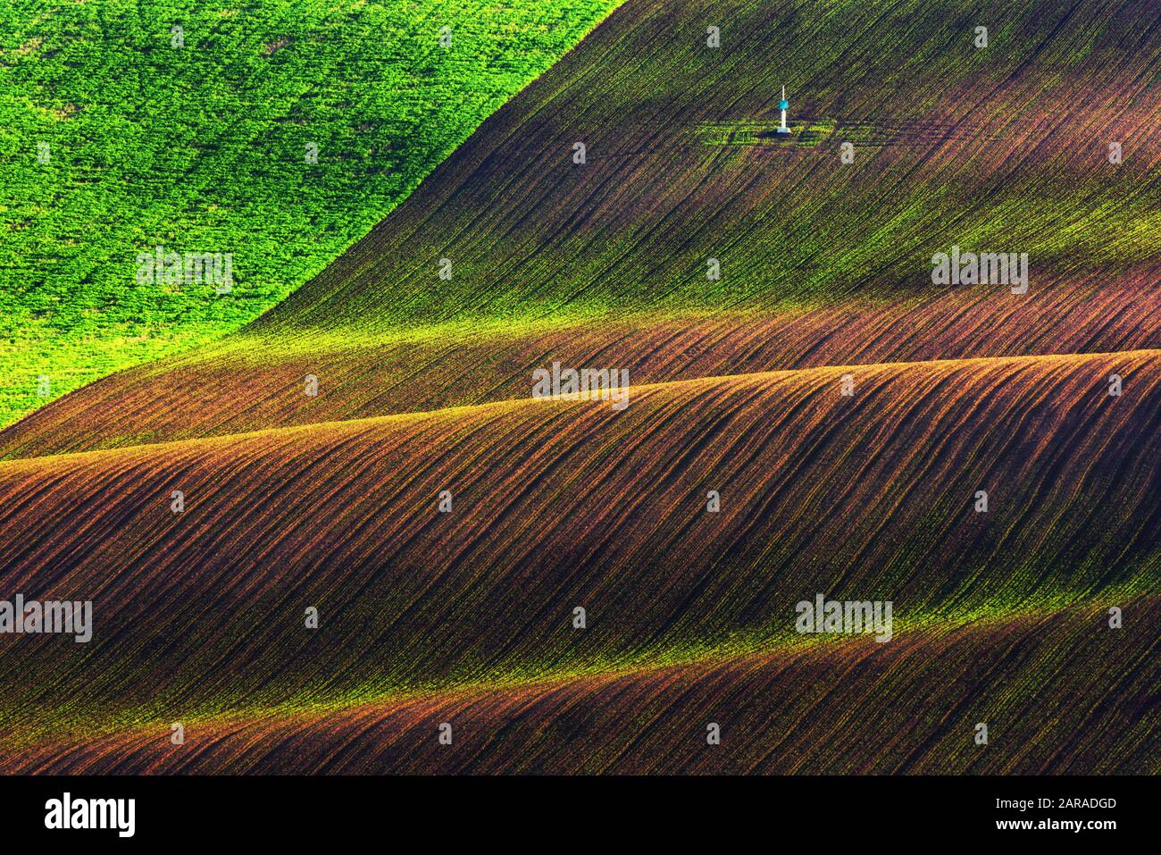 Rural spring landscape with colored striped hills. Green and brown ...