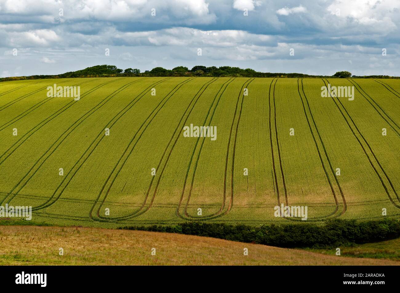 tractor patterns, field, farming, agriculture, somerset, england ...