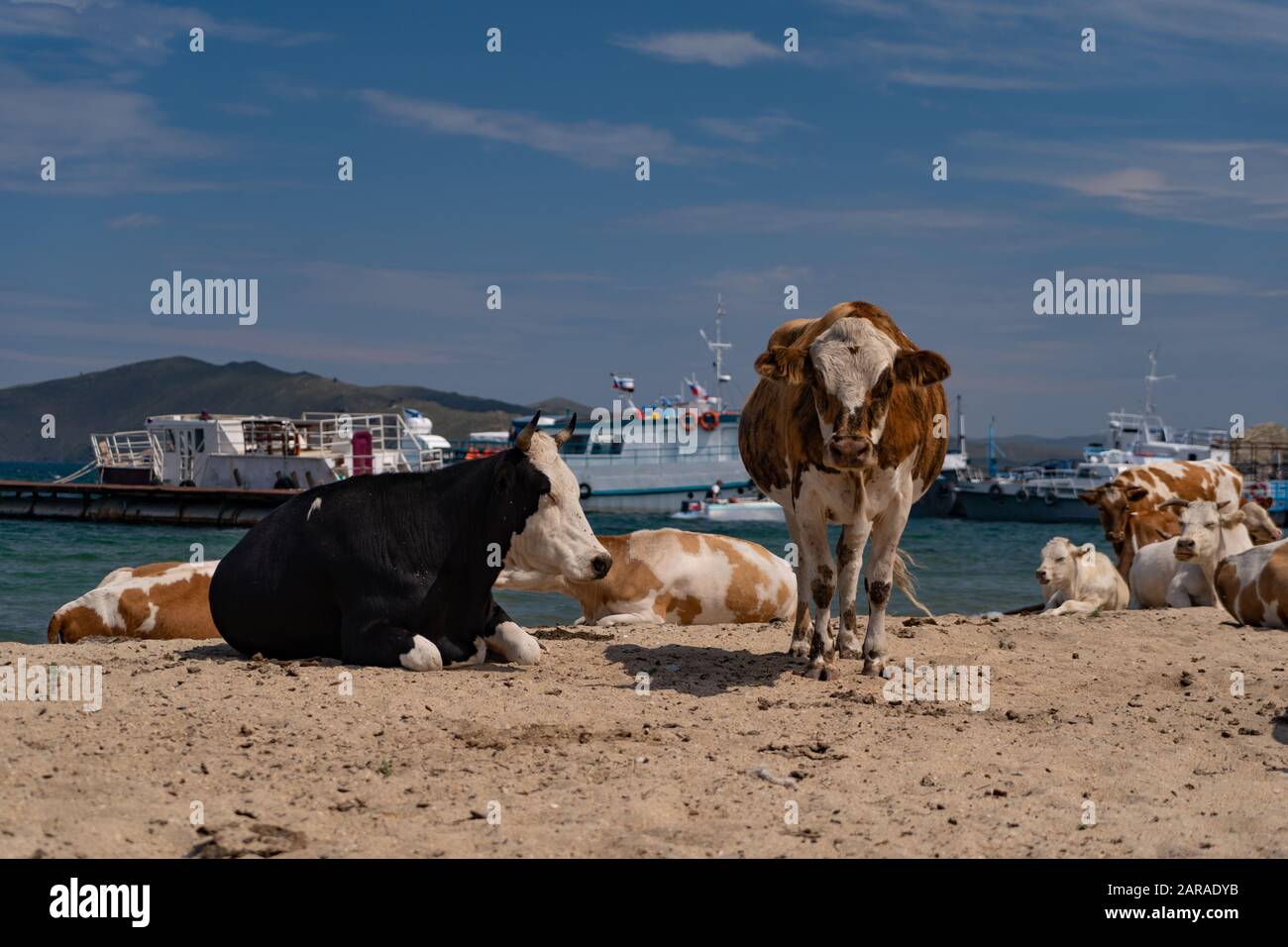 Seaweed farming pacific hi-res stock photography and images - Alamy