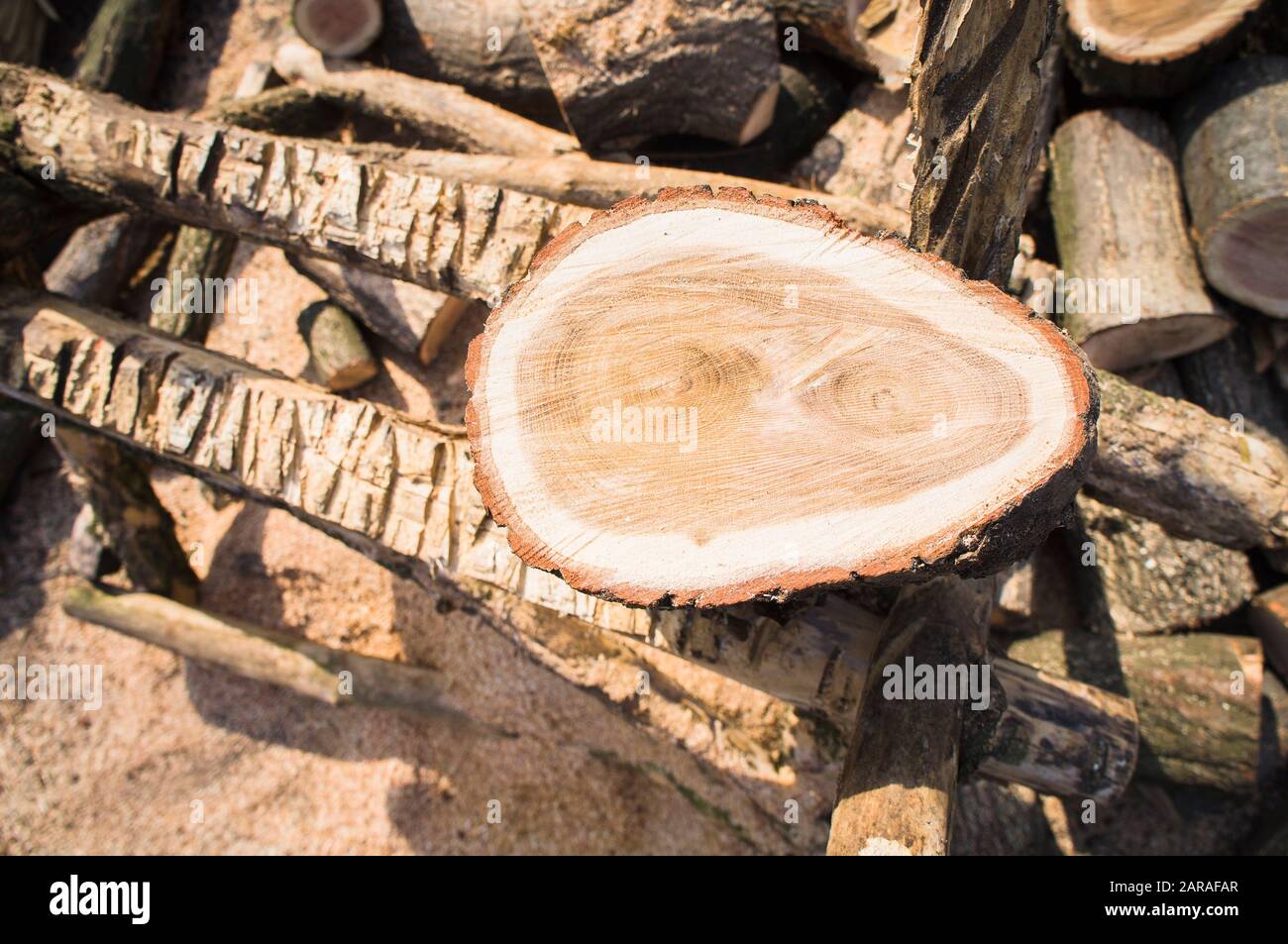 sawbuck, homemade saw buck, DIY, cut, cutting wood, Natural live edge ...