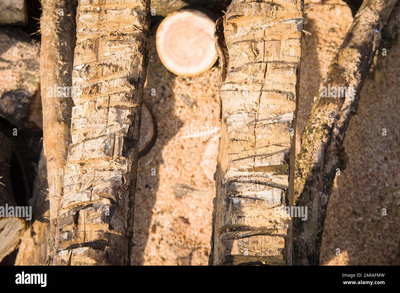 Sawbuck hi-res stock photography and images - Alamy