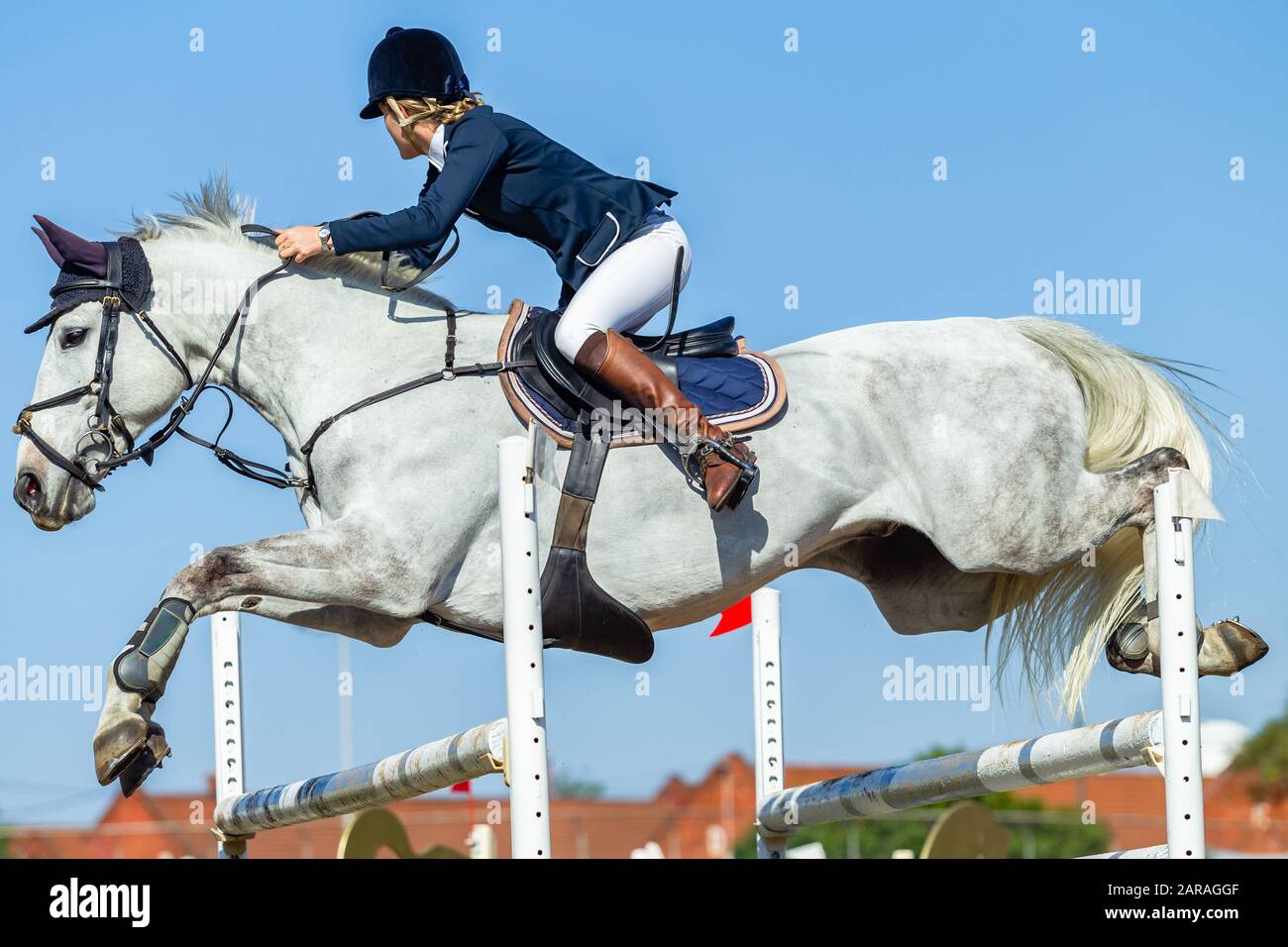 Equestrian rider woman unrecognizable and horse white gray pony mid ...