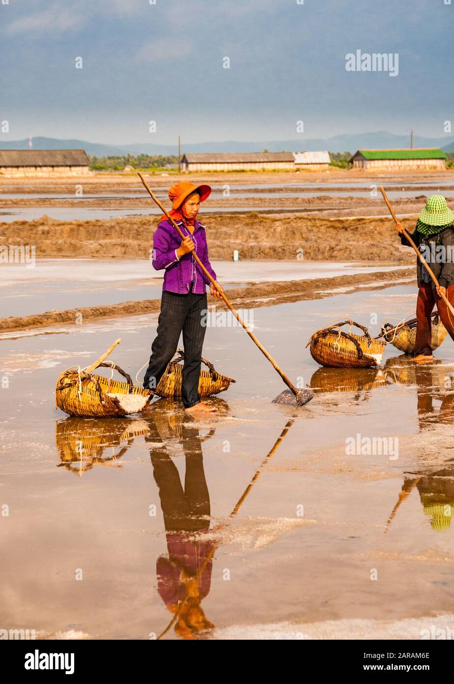 Traditional salt harvesting in salt hi-res stock photography and images ...